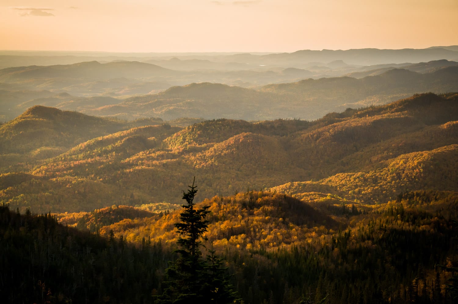 Planifier sa sortie en Quad au Saguenay–Lac-Saint-Jean - Planète Quad ...